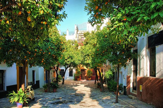 Full Day Seville Tour With Tickets (Optional Tapas & Flamenco) - Customer Feedback and Reviews