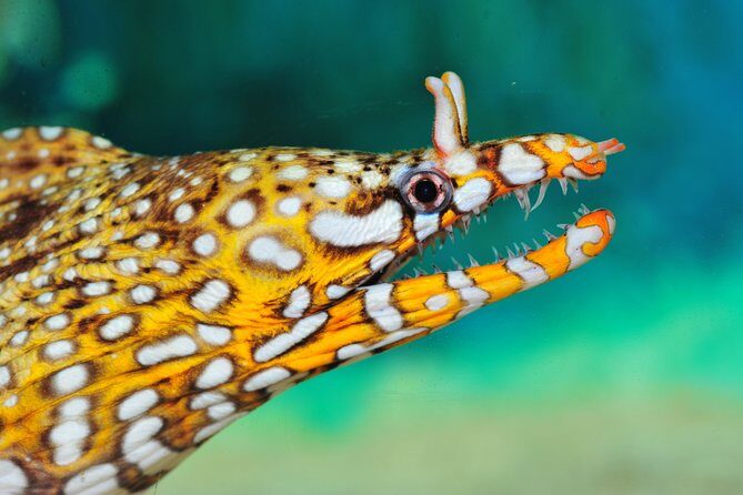 Full-Day Shanghai Aquarium Xintiandi and Jingan Private Tour - Key Points