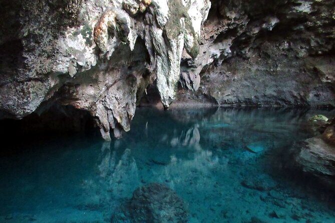 Full-Day Shared Cultural Excursion: Punta Cana to Santo Domingo - An Overview of the Experience