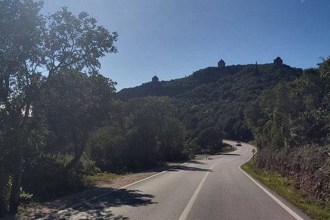 Full Day Shared Guided Tour in Setúbal - Key Points