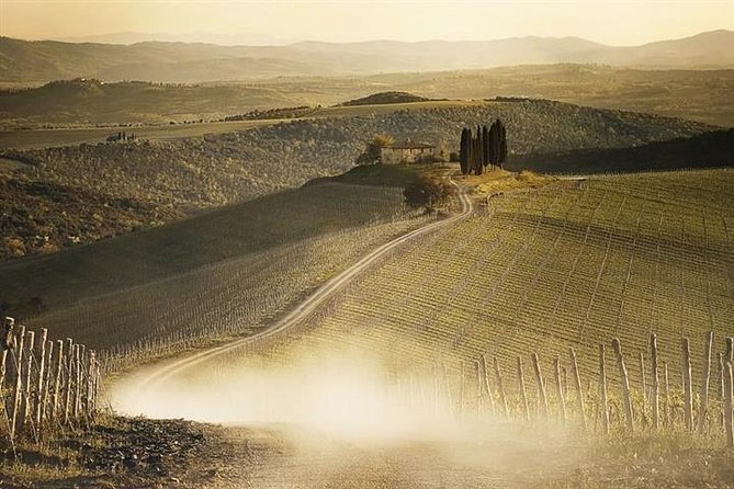 Full Day Siena , Montalcino, Val D'Orcia from Rome - Practical Details and What to Expect