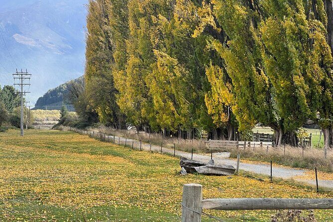 Full Day Sightseeing Tour To Discover Queenstown's Scenic Wonder - Key Points