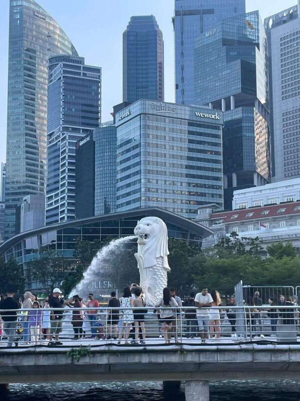 Full day Singapore City Tour with Flyer,GBB and Skypark - The Itinerary in Detail