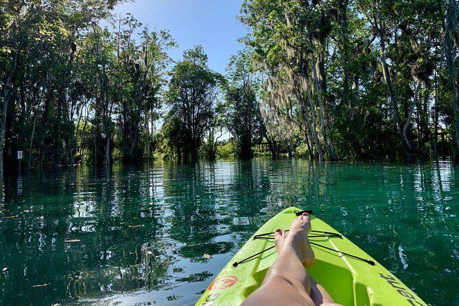 Full Day Single Kayak Rental In Crystal River - Why Travelers Love This Experience
