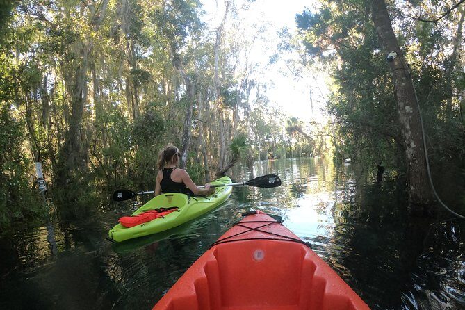 Full Day Single Kayak Rental In Crystal River - Who Will Enjoy This Tour?