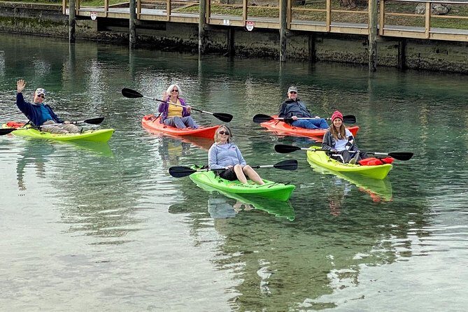 Full Day Single Kayak Rental In Crystal River - The Bottom Line