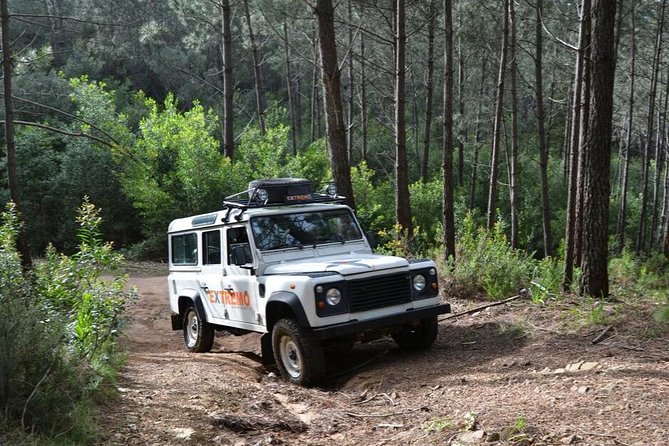 Full-Day Sintra Jeep Safari - The Group Experience and Travel Dynamics