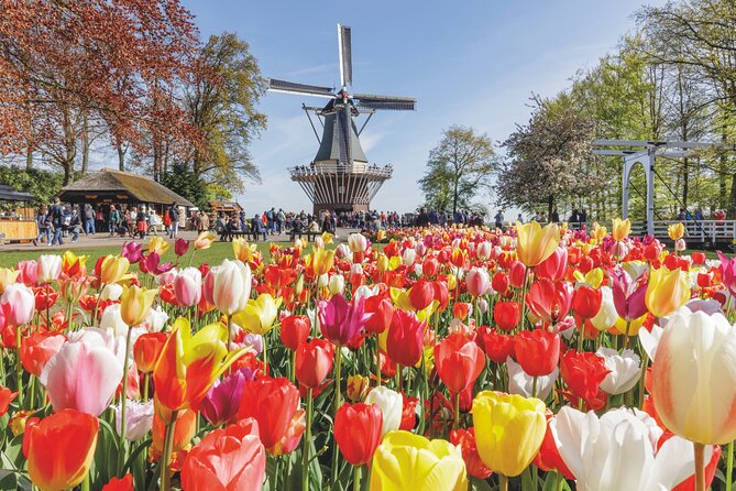 Full-Day Skip the Line Keukenhof and Canal Cruise from Amsterdam - A Practical Look at the Full-Day Keukenhof and Canal Cruise Tour