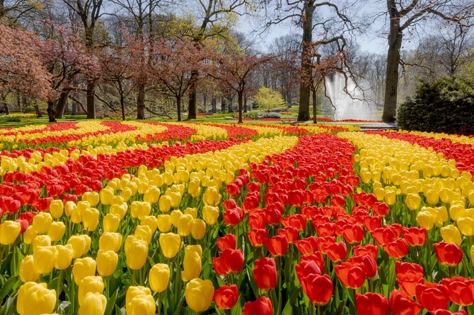 Full-Day Skip the Line Keukenhof and Canal Cruise from Amsterdam - FAQs
