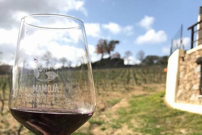 Full Day-Small group: Barbagia Experience: Mamoiada and Orgosolo from Cagliari - FAQs