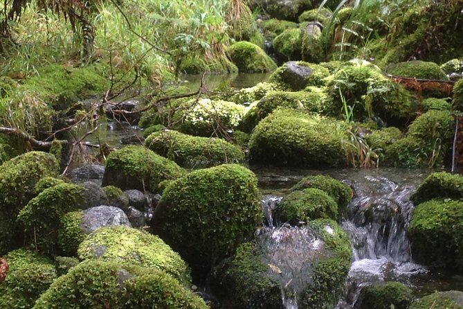 Full-Day Small-Group Routeburn Valley Hike - An In-Depth Look at the Routeburn Valley Hike Experience