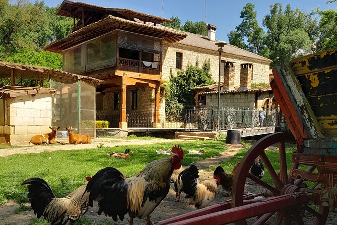 Full-Day Small-Group Tour of Bulgaria by Minivan With Lunch - Museum of Mosaics