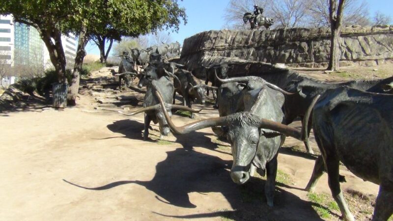 Full-Day Small-Group Tour of Dallas & the JFK Assassination - What to Expect from the Tour Experience