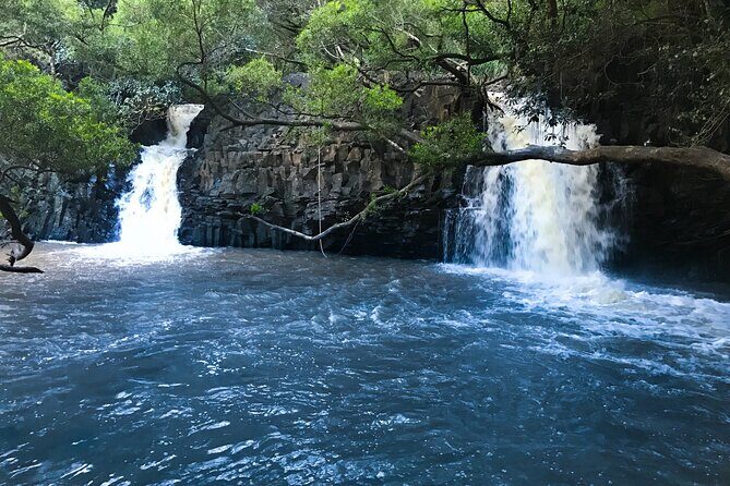 Full Day Small Group Tour of Maui Waterfall, Beach and Hana - Final Thoughts