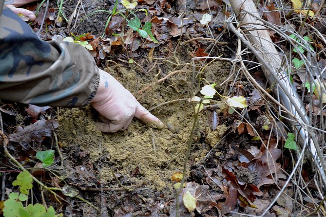 Full-Day Small-Group Truffle Hunting in Tuscany With Lunch - Savoring the Truffle-Based Lunch