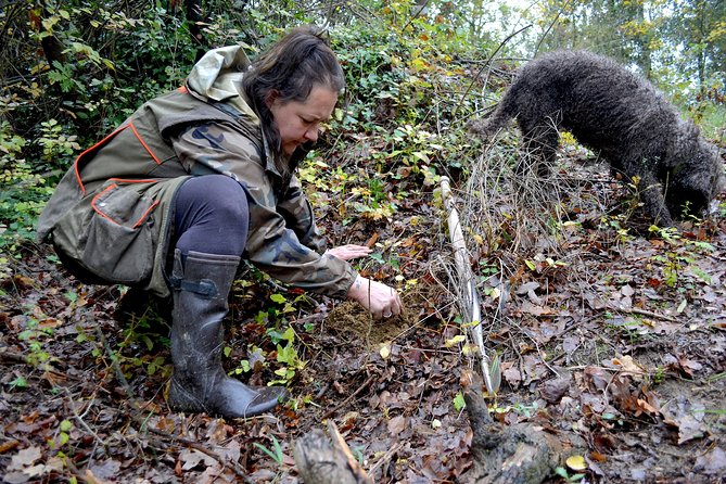 Full-Day Small-Group Truffle Hunting in Tuscany With Lunch - Exploring the Picturesque Tuscan Landscape