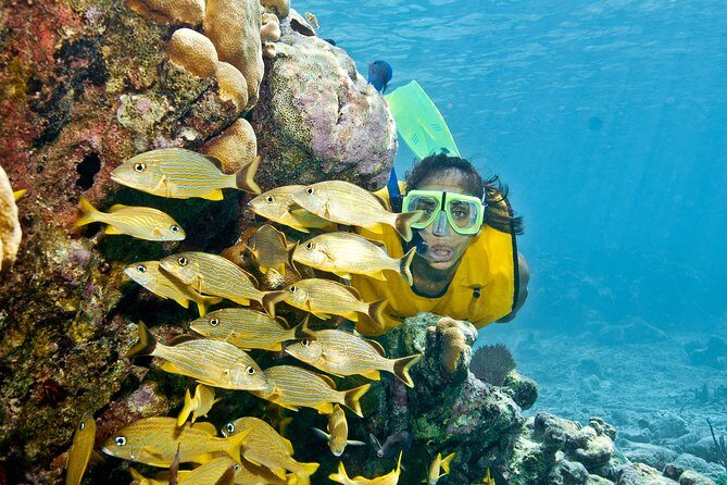 Full-Day Snorkel Extreme Adventure Tour from Riviera Maya - An Overview of What to Expect
