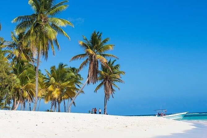 Full-Day Snorkeling Adventure at Catalina Island from Punta Cana - Key Points