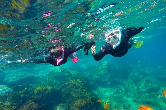 Full-Day Snorkeling Adventure at Catalina Island from Punta Cana - What Makes This Tour Stand Out?