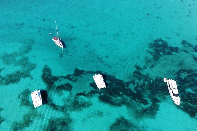 Full-Day Snorkeling Adventure at Catalina Island from Punta Cana - Who Will Love This Tour?