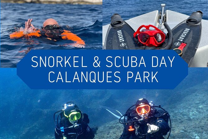 Full-Day Snorkeling and Guided Dive in the Calanques National Park from Marseille - What’s Included and What’s Not