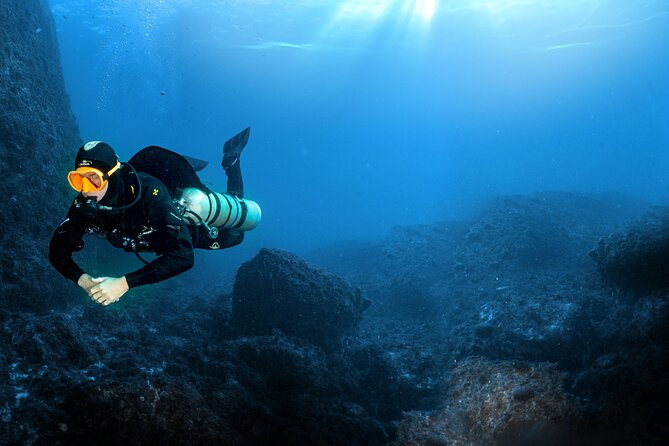 Full-Day Snorkeling and Guided Dive in the Calanques National Park from Marseille - Pricing and Value