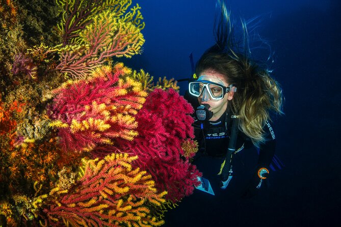Full-Day Snorkeling and Guided Dive in the Calanques National Park from Marseille - The Sum Up