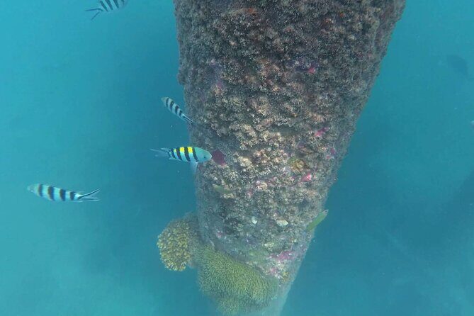 Full Day Snorkeling in Perhentian Island - FAQ