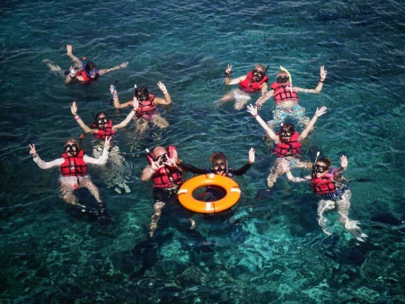 Full-Day Snorkeling Tour to Catalina Island - What Travelers Can Expect: Practical Insights