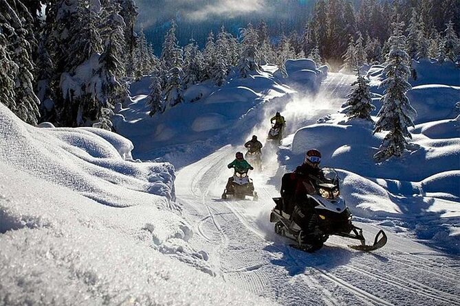 Full Day Snowmobile Safari - Preparing for the Adventure