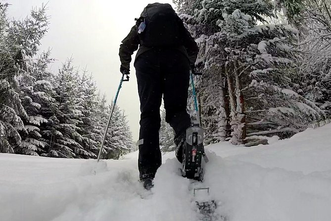 Full-Day Snowshoeing in High Tatras with Local Mountain Guide from Poprad - Who Will Enjoy This Experience?