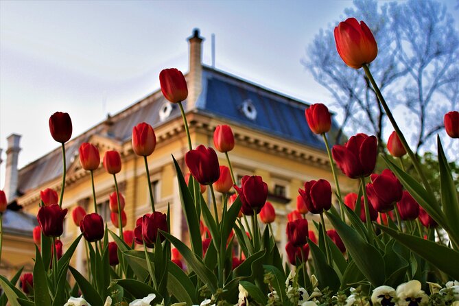 Full Day Sofia Tour - Final Thoughts on the Full Day Sofia Tour