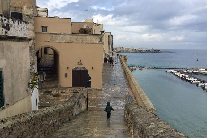 Full-Day Sorrento Positano Pompeii Tour - Who Will Love This Tour?