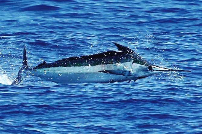 Full Day Sportsman/Enthusiast Charter - Meeting Location and Logistics