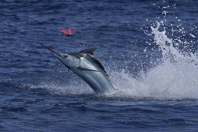 Full Day Sportsman/Enthusiast Charter - Traveler Reviews and Recommendations