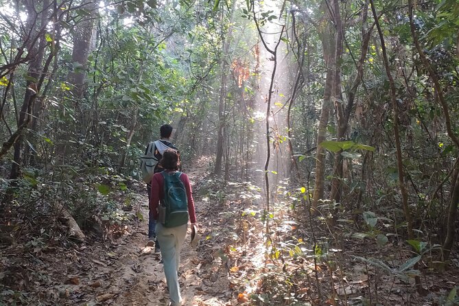 Full Day Sreemangal Tea Garden & National Park Hiking Tour - Who Will Love This Tour?