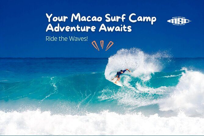 Full-Day Surf Camp in Punta Cana Lessons, Beach Time & Adventure - Key Points