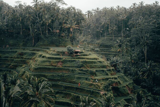 Full Day Surface of Ubud Private Tour - The Sum Up: Why Choose This Tour?