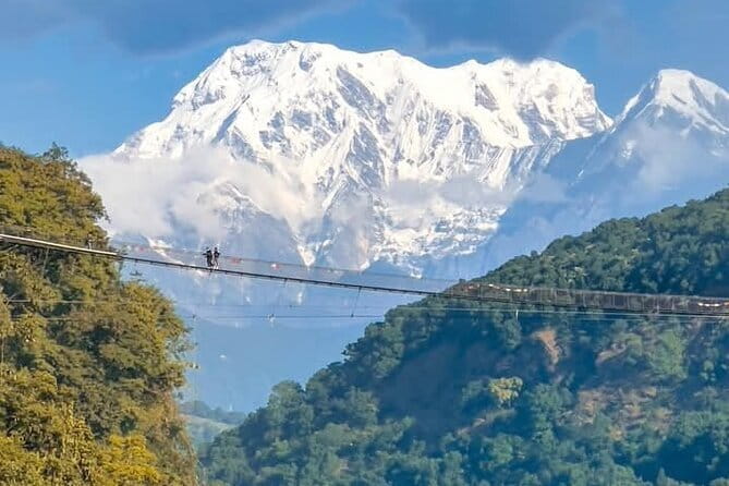 Full day Suspension Bridge, Boating, George, Sightseeing Tour - Introduction