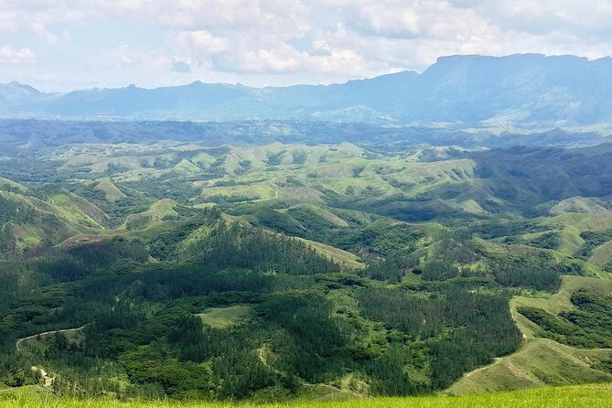 Full Day Suva City Tour-Visit to Museum, Markets & Sightseeing - Who Should Consider This Tour?