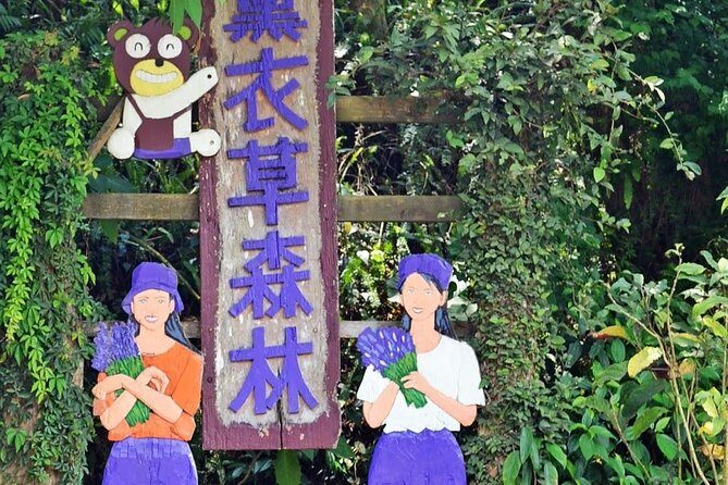 Full-Day Taichung and Lavender Cottage Private Tour with Lunch - Key Points