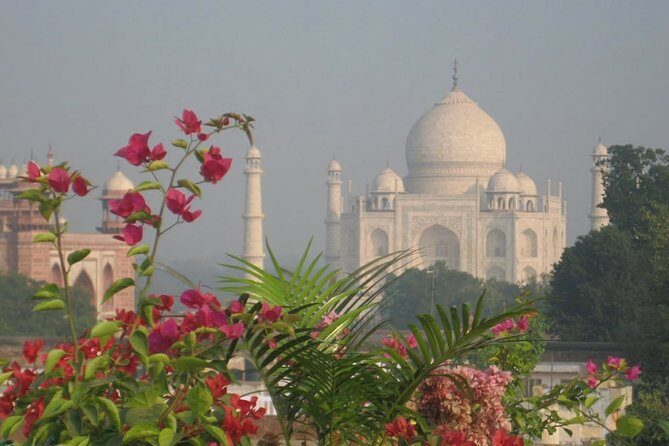 Full day Taj Mahal and Vrindavan - What Makes This Tour Valuable?