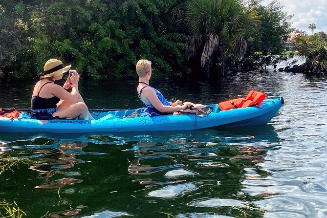 Full Day Tandem Kayak Rental For Two People In Crystal River, Florida - An Authentic, Flexible Day on the Water
