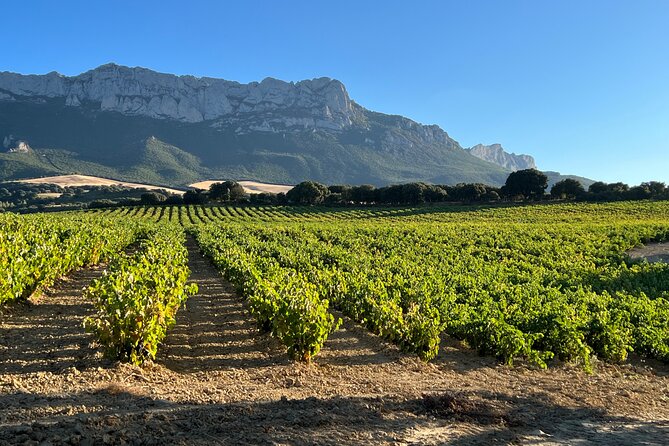 Full Day Tasting The Unknown Rioja Wine Region - Winery Visits and Exclusive Tastings