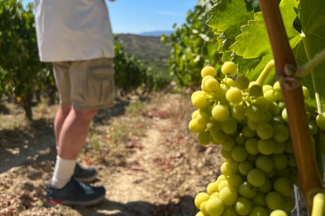 Full Day Tasting The Unknown Rioja Wine Region - Pricing and Booking Details