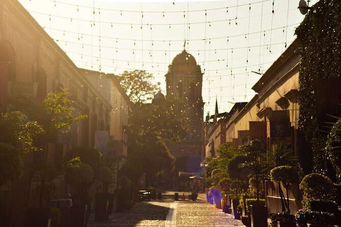 Full-Day Tequila Tour from Guadalajara - Who Should Consider This Tour?
