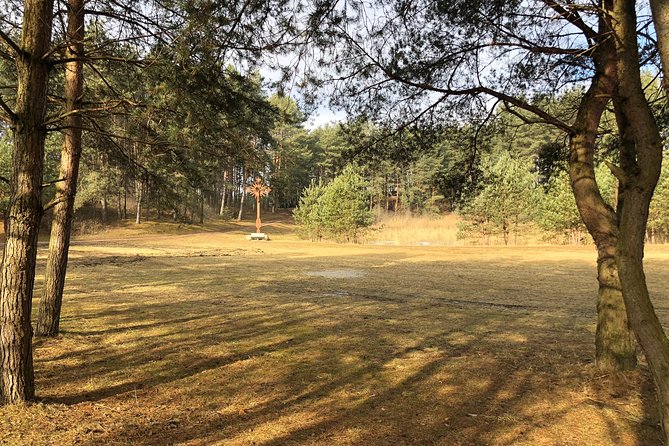 Full-Day the Hill of Crosses Tour From Vilnius - Customer Feedback and Testimonials