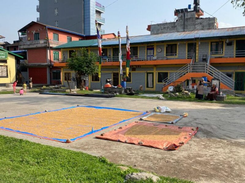 Full Day Tibetan Cultural Tour - Exploring the Full Day Tibetan Cultural Tour in Pokhara