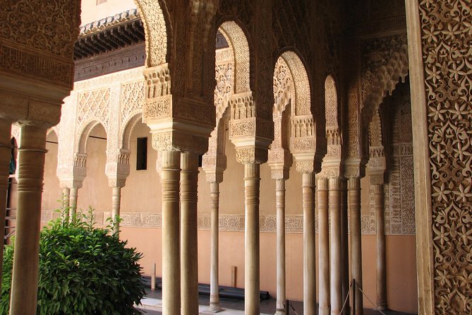 Full Day to Alhambra Palace and Generalife Gardens Direct From Malaga - Traveler Feedback and Recommendations