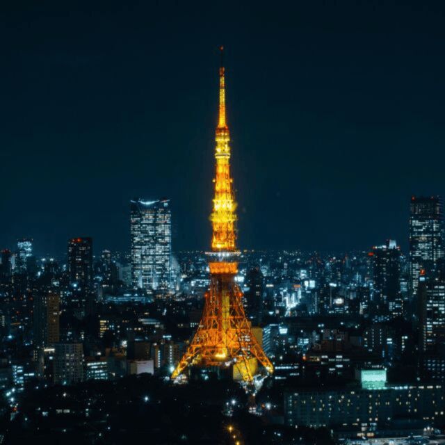 Full Day Tokyo City Private Tour Sightseeing Full Customised - Key Points